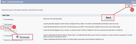 Salesforce Now Function