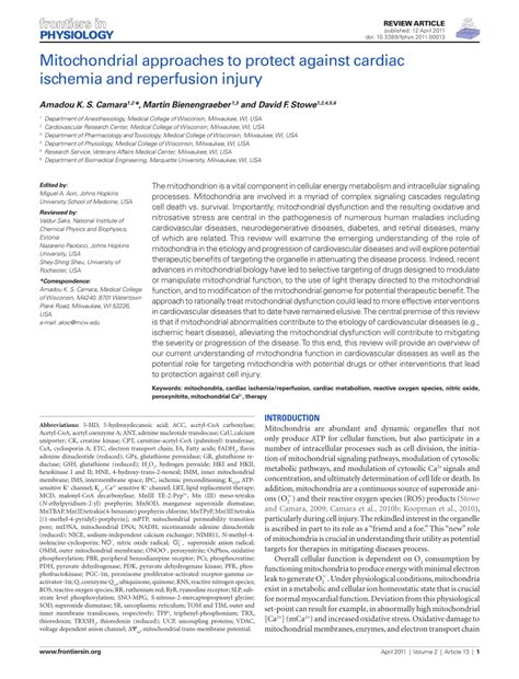 Pdf Mitochondrial Approaches To Protect Against Cardiac Ischemia And