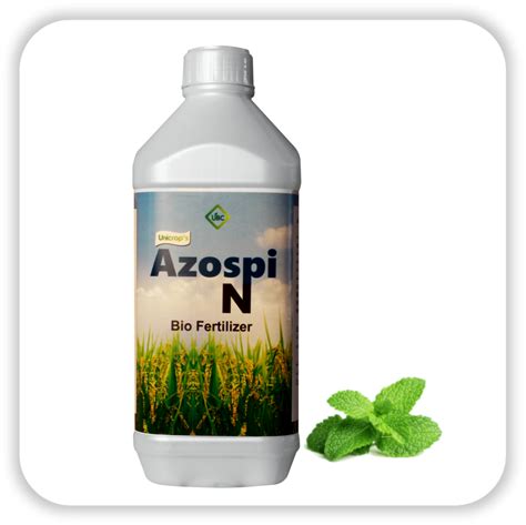 Azospirillum Biofertilizer Azospirillum Culture Latest Price Manufacturers And Suppliers