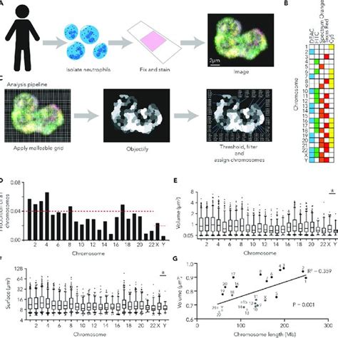 Analysis Pipeline Detects The Position And Characteristics Of All Human Download Scientific