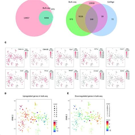 comparison of single cell rna sequencing scrna seq data and bulk