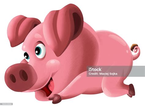 만화 행복한 돼지는 아이들의 예술적 그림 장면을 위한 하얀 배경 삽화를 보고 웃고 있다 가축에 대한 스톡 벡터 아트 및 기타 이미지 가축 귀여운 꼬리 Istock
