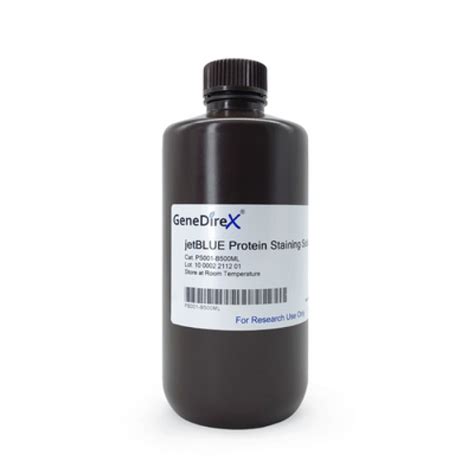 Genedirex Jetblue Protein Staining Solution 500ml