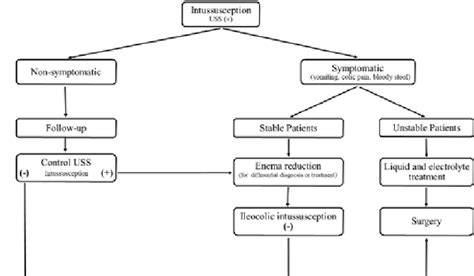 Diagnosis And Treatment Algorithm Of Patients With Small Bowel Download Scientific Diagram