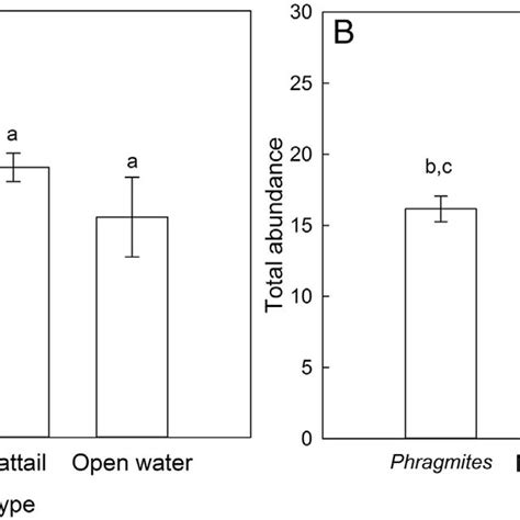 The Four Vegetation Types Exhibited No Difference In Total Species
