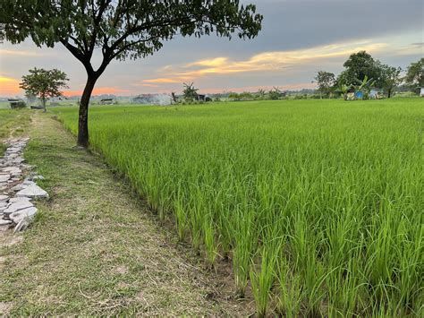 ເມືອງໂພນໄຊ ແດນງາມ Added A New Photo ເມືອງໂພນໄຊ ແດນງາມ