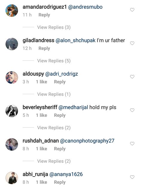 Instagram Comment Sections R Mildlyinfuriating