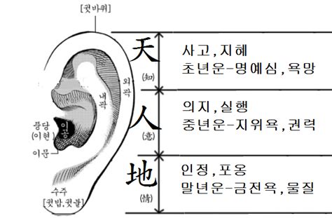 귀 관상 귀 점 관상과 관상 귀의 위치 귀 위치 관상 네이버 블로그