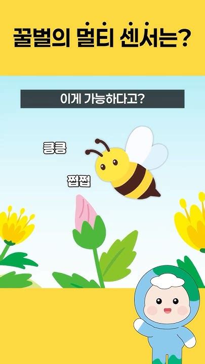 멀티센서를 가진 꿀벌 에코플레이 Youtube