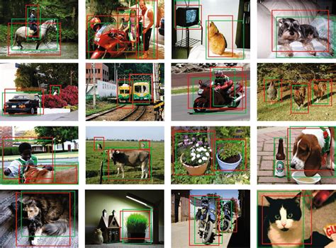 Examples Of Objects Detected By Wsgmn For Pascal Voc 2007 Test Set