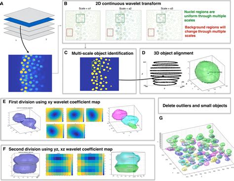 Overview Of Wavelet Based Nuclei Segmentation Method A Import 3d Raw