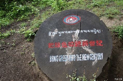 【西藏行18】林芝世界柏树王园林景区 世界柏树王园林游记