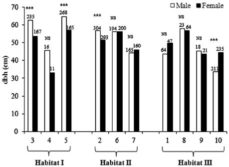 Relationship Between The Plot And Mean Diameter At Breast Height Dbh Download Scientific