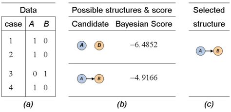 An Example Of Bayesian Network Structure Learning A Observations Of