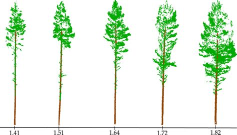 Terrestrial Laser Scanning Point Clouds From Example Trees With Varying Download Scientific