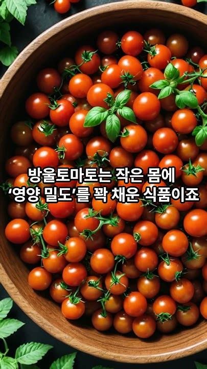 토마토 Vs 방울토마토 영양소 비교 토마토 영양비교 건강정보 라이코펜 방울토마토 영양정보 건강식단 항산화 비타민c 다이어트식단 Youtube