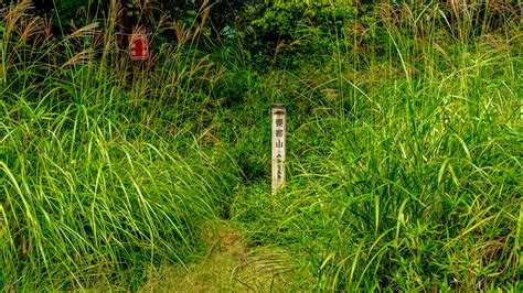 要害山城跡見どころ観光歴史をわかりやすく解説城写真と知的旅なら日本の旅侍