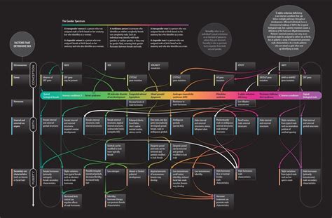 Berkeley Wilde On Linkedin Visualizing Sex As A Spectrum Infographic By Pitch Interactive And