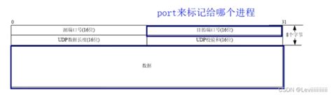 Linux 原始套接字linux原始套接字 Csdn博客