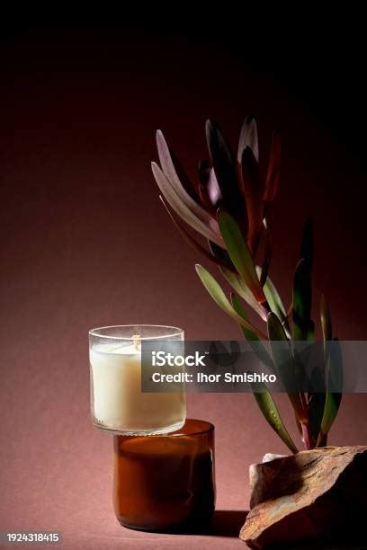 돌이 있는 양초 갈색 배경에 나뭇가지가 있는 창의적인 미니멀리스트 구성 양초 제작자를 위한 모형 미학 촛불 조명 장비에 대한