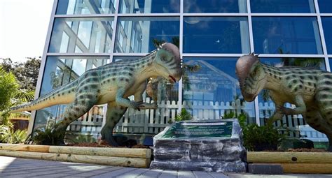 Bishop Museum Dinosaur Exhibit