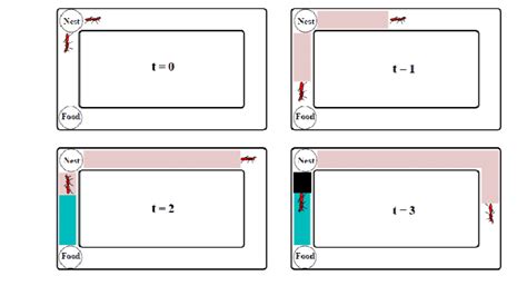 Ant Colony Convergence Onto The Shortest Path As A Result Of The