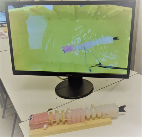 Bachelor Project Soft Robots Soft Robotics Group