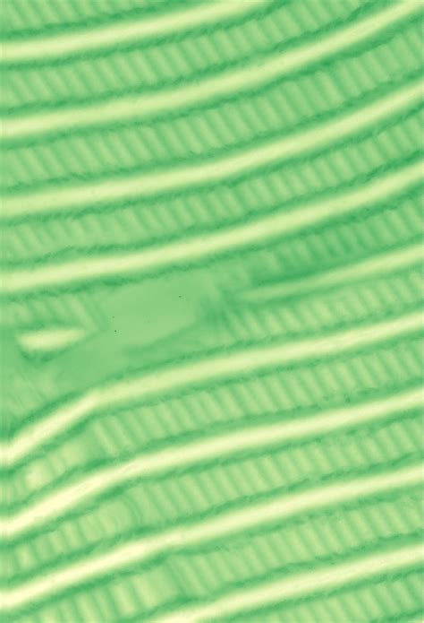 Raster Gdalgrid Linear Producing Odd Results Stack Overflow