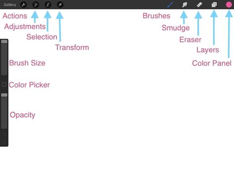 How To Use Procreate Ebb And Flow Creative Co