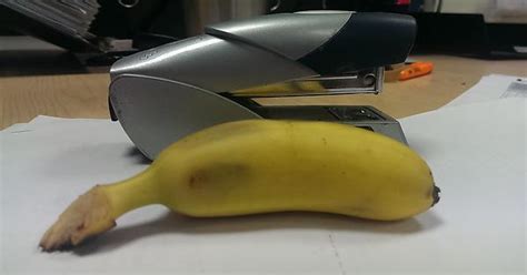 My Scale Is Having Size Issues Imgur