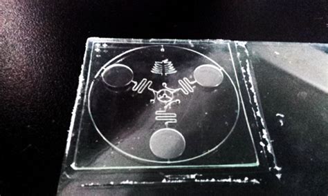 Team BIT Project Microchip Igem Org