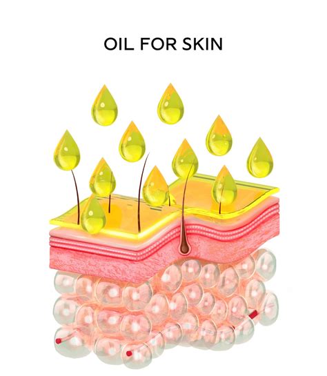 현실적인 인간의 피부 층 단면 구조 오일 또는 혈청 스킨케어 의료 3d 그림 프리미엄 사진