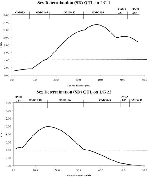 Qtl For Sex Detected On Lg 1 And Lg 22 In Salt Tolerant Tilapia The