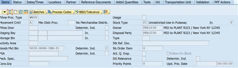 Testing Exceptional Handling Using Exception Code In Inbound Process In