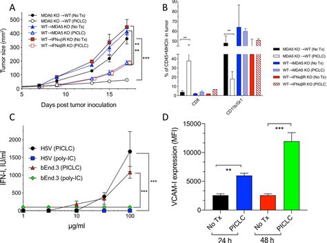 Poly Ic Enhances The Effectiveness Of Cancer Immunotherapy By Promoting T Cell Tumor