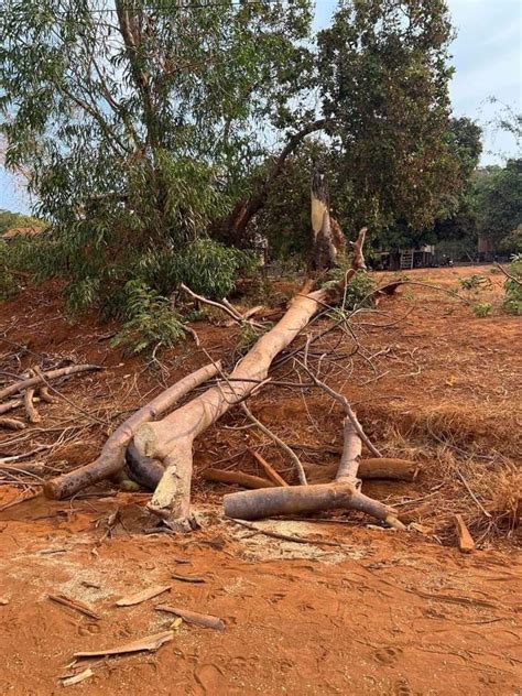 យុវតីពីរនាក់ជួបគ្រោះថ្នាក់ចរាចរណ៍បណ្ដាលឲ្យស្លាប់ម្នាក់ របួសធ្ងន់ម្នាក់ក្នុងករណីជិះម៉ូតូបុកដើមឈើ