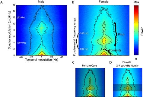 Spectral Modulations Differ In Male And Female Speech A B The Mps Of Download Scientific