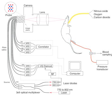 A Schematic Diagram Of The Experiment Key Avalanche Photodiode Apd