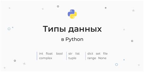 Типы данных в Python список как узнать тип Type и Isinstance