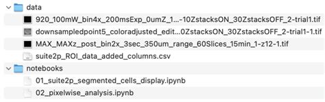 First Steps For Presentation And Analysis Of Calcium Imaging Data