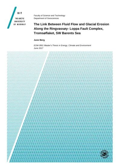 Seismic Fluid Flow Expression Indications Of Hydrocarbons In Seismic Data