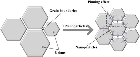 Schematic Diagram Of Nanoparticles Pinned At Grain Boundaries Download Scientific Diagram