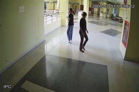 Normal Object Detection Dataset And Pre Trained Model By Suranaree