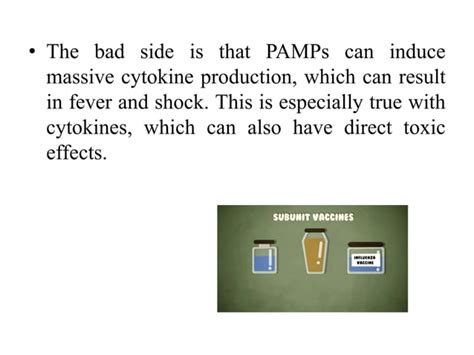 Immunostimulants Pptx