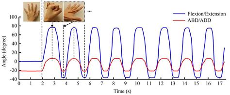 The Simultaneous Movements Of The Flexion Extension And Download Scientific Diagram