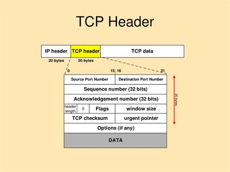 Ppt Sak 5514 Examining Embedded Protocol Header Fields Powerpoint