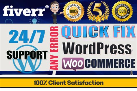 fix repair any wordpress website bug site errors and website maintenance by sara wp fiverr