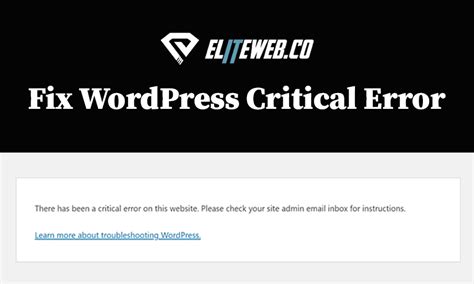 How To Fix The There Has Been A Critical Error On Your Website Error Elitewebco Usa