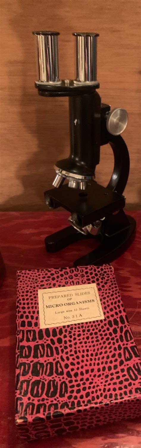 Vintage Microscope W Microorganism Slides Damage Beck Auctions Inc