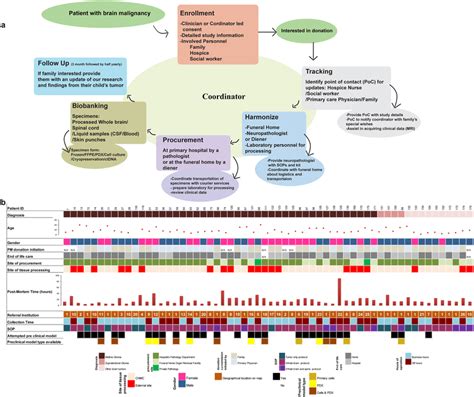 Post Mortem Program Post Mortem Dan Laporan Prog 2020 Membalik Buku